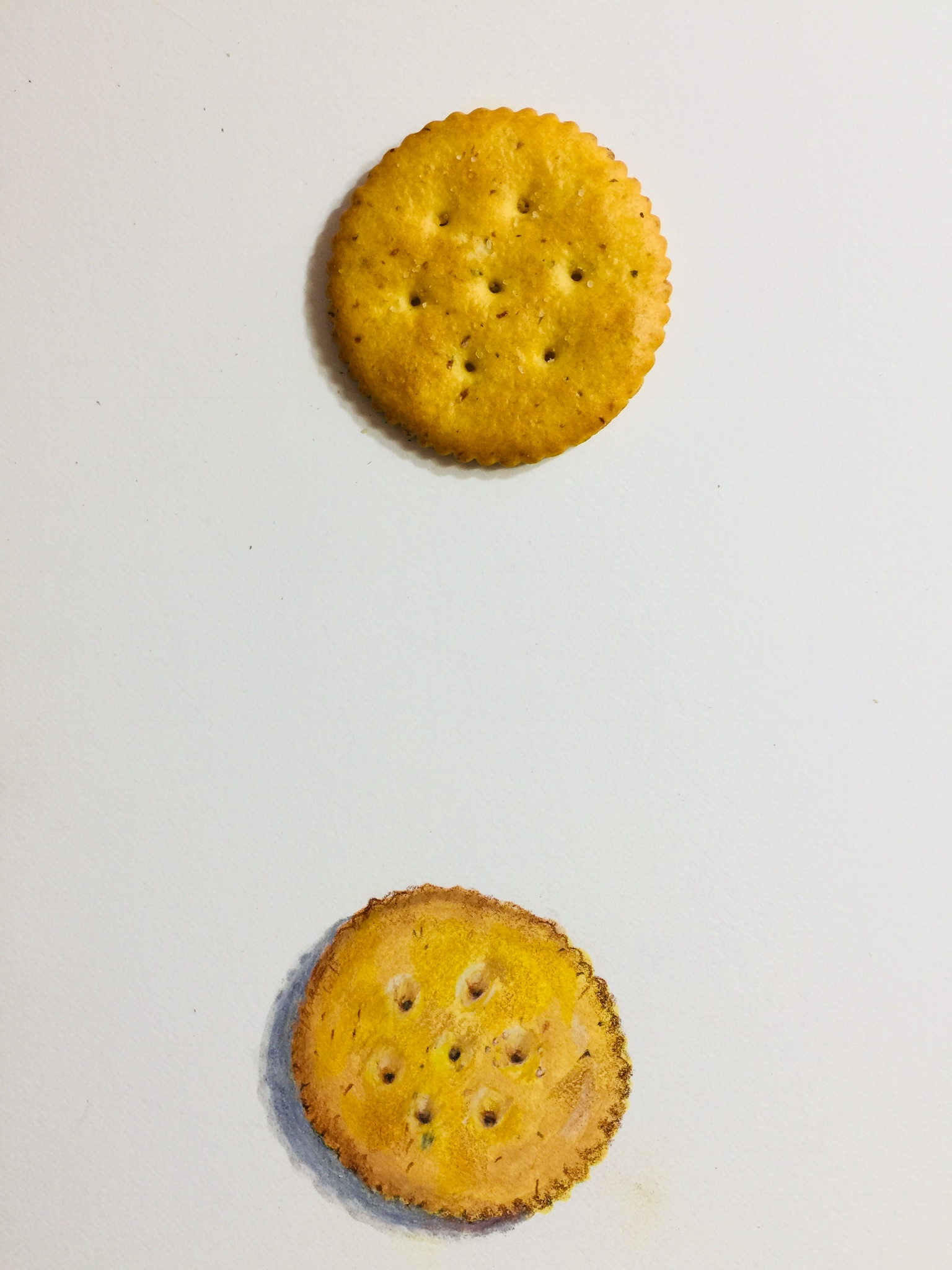 Drawing of ritz cracker | WAGblog: Dum Spiro Spero